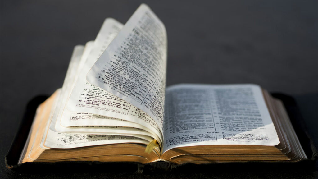 What is the Bible? - Alpha Australia