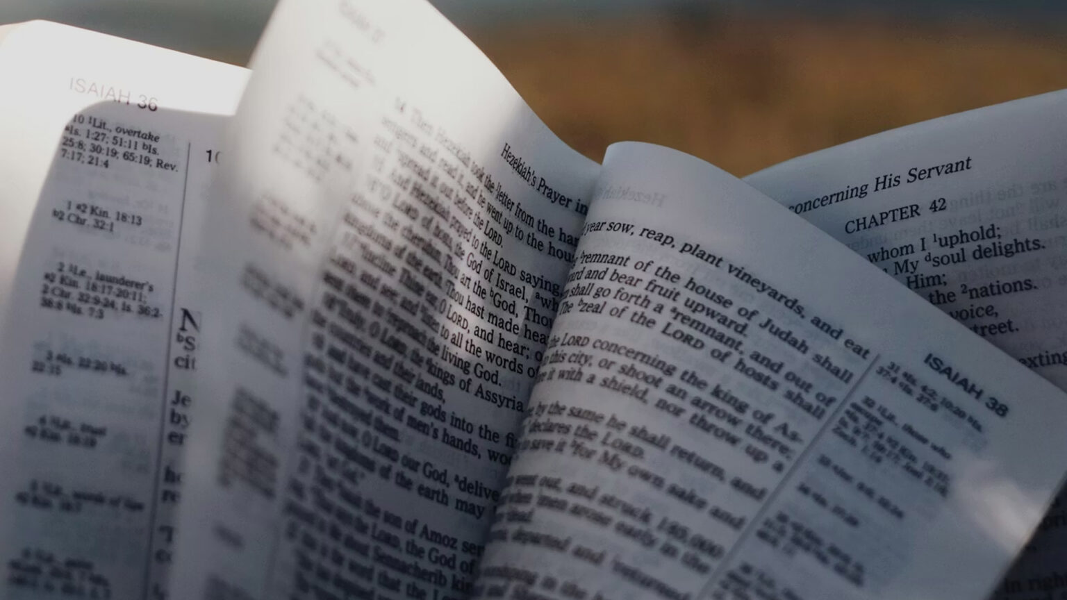 What is the Bible? - Alpha Australia