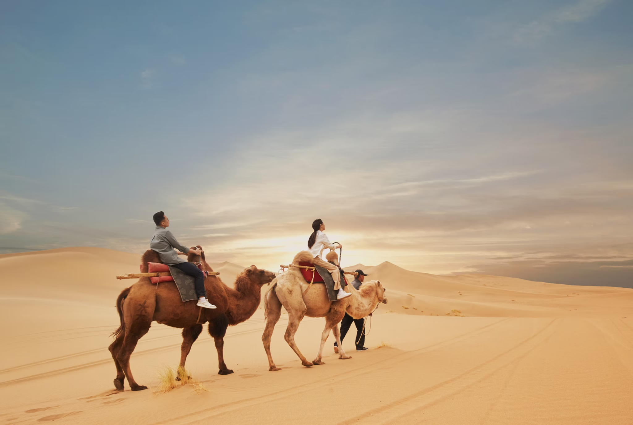 Run Alpha in Youth Ministry - Alpha Australia